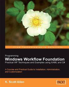 Programming Windows Workflow Foundation Practical WF Techniques And