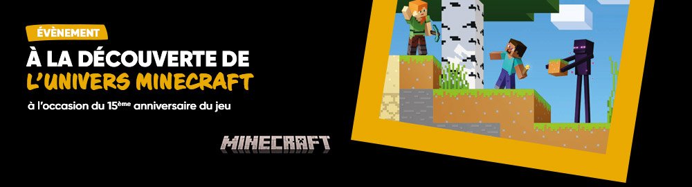Minecraft - Idées Jeux & Jouets | fnac