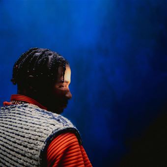 Musique, CD, Vinyles, Instruments | fnac