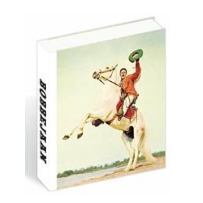 Bobbejaan Schoepen - cartonné - Tom Schoepen - Achat Livre | fnac