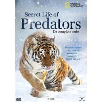 NG SECRET LIFE OF PREDATORS-NL-2 DVD - Inconnus - DVD - Achat & prix | fnac