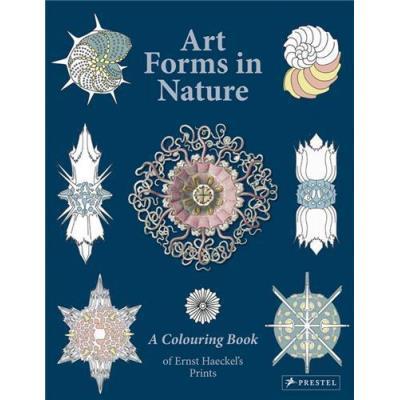 Art forms in nature a colouring book of ernst haeckel's pri - broché ...