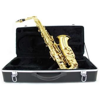 SAXOPHONE ALTO Mib/Fa avec Etui rigide ~ Neuf & Garantie, Saxophone ...