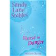 Sandy Lane Stables - Tome 7 - Horse in Danger - Michelle Bates, John ...