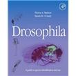 Drosophila A Guide to Species Identification and Use - ebook (ePub ...