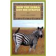 How The Zebra Got His Stripes - ebook (ePub) - Cari Mostert - Achat ...