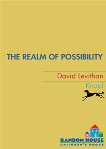 The realm of possibility - Poche - David Levithan - Achat Livre ou ...