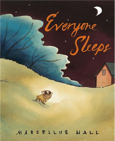 Everyone Sleeps - ebook (ePub illustré) - Achat ebook | fnac