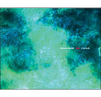 Cirque - Biosphere - CD album - Achat & prix | fnac