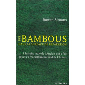 Des Bambous dans la Surface de Reparation Histoire Vrai de l'Anglais ...