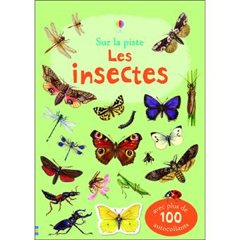 Les insectes - broché - Collectif - Achat Livre | fnac