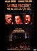 Animal factory - Steve Buscemi - DVD Zone 1 - Achat & prix | fnac