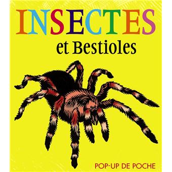 Insectes et bestioles - Coffret - Walker Books, KJA Artists - Achat ...