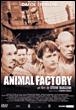 Animal factory - Steve Buscemi - DVD Zone 2 - Achat & prix | fnac