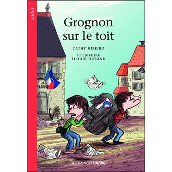 Grognon sur le toit - broché - Cathy Ribeiro - Achat Livre | fnac