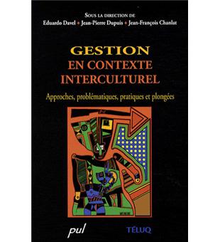 Gestion en contexte interculturel : approches, problématiques ...