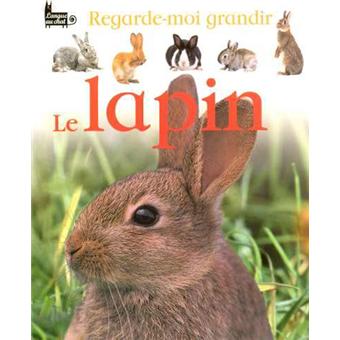 Le lapin - relié - Lisa Magloff - Achat Livre | fnac