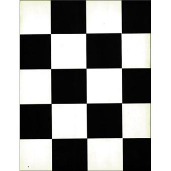 The book of disappearance (version anglaise) - broché - RUIZ RAOUL ...