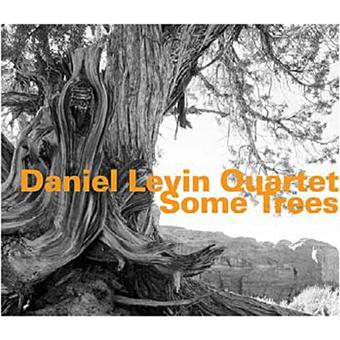 Some trees - Daniel Levin - CD album - Achat & prix | fnac