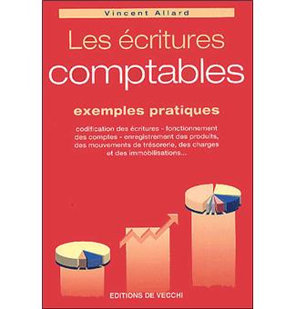 Les écritures comptables - broché - Vincent Allard, Livre tous les ...