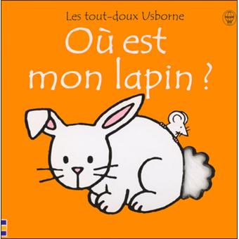 Où est mon lapin ? - cartonné - Fiona Watt, Rachel Wells - Achat Livre ...