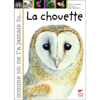 La chouette - broché - Jean-Louis Vallée, Jean Chevalier - Achat Livre ...