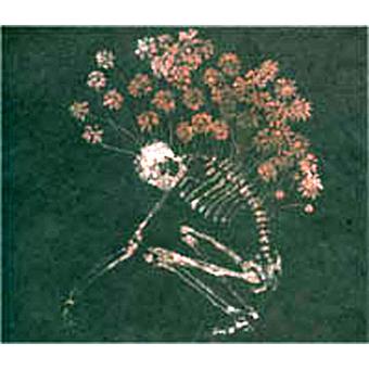 Folk aesthetic - Tenhi - CD album - Achat & prix | fnac