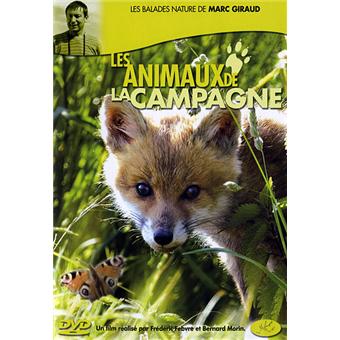Les animaux de la campagne - Frederic Febvre - DVD Zone 2 - Achat ...