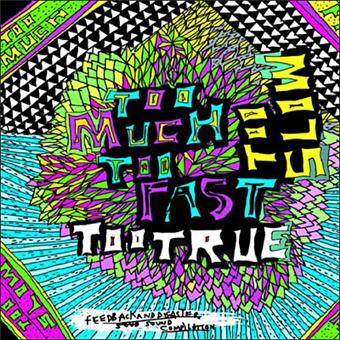 Too much too fast too true too slow - Musique Electronique - CD album ...