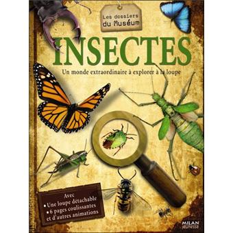 Insectes Livre avec une loupe - broché - John Woodward, Pierre Bertrand ...