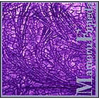 Patterns of plants - Mamoru Fujieda - CD album - Achat & prix | fnac