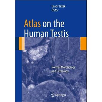 Atlas on the human testis - relié - Collectif - Achat Livre | fnac