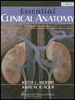 Essential clinical anatomy - Poche - Keith L. Moore - Achat Livre | fnac
