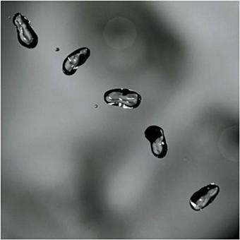 Up - Peter Gabriel - CD album - Achat & prix | fnac