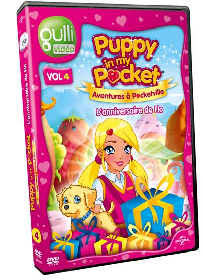 Volume 4 : L'anniversaire de Flo - DVD Zone 2 - Achat & prix | fnac