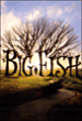 Big Fish - VHS - Tim Burton - VHS - Achat & prix | fnac