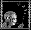 Cognitive - Soen - CD album - Achat & prix | fnac