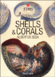 Albertus seba / shells / corals-trilingue Po - broché - Collectif ...
