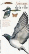 Animaux de la ville - cartonné - Guilhem Lesaffre - Achat Livre | fnac