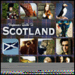 Beginner's guide to Scotland - Compilation musique écossaise - CD album - Achat & prix | fnac