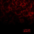 Blood - OSI - CD album - Achat & prix | fnac