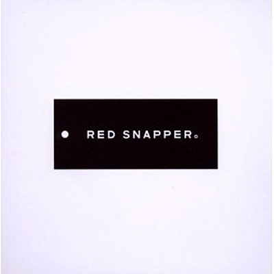 Pale blue dot - Red Snapper - CD album - Achat & prix | fnac