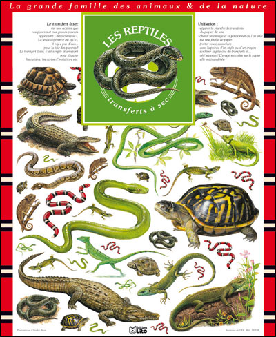 Les reptiles Tome 1 - broché - Collectif - Achat Livre | fnac