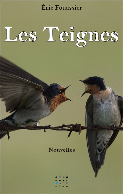 Les teignes - broché - Eric Fouassier - Achat Livre | fnac