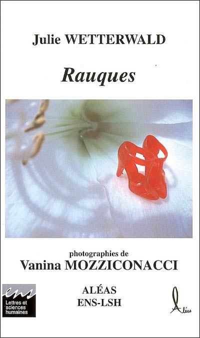 Des prisons en France sous l'occupation - broché - Cyril Bloch, Muriel ...