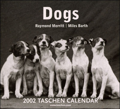 Dogs Edition 2002 - broché - Collectif - Achat Livre | fnac