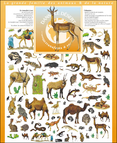 Les animaux du désert Coffret - Coffret - Collectif - Achat Livre | fnac