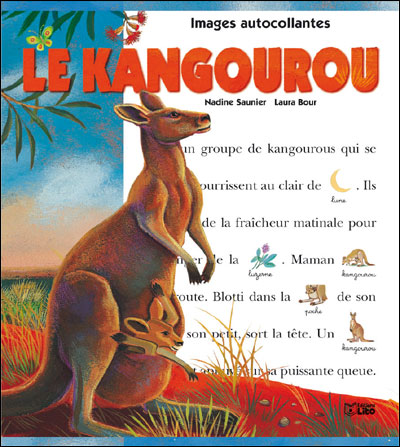 Le kangourou - cartonné - Collectif - Achat Livre | fnac