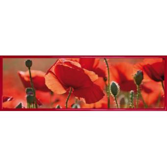 Poster Reproduction Encadré: Coquelicots - Coquelicots Rouges, Fleurs ...