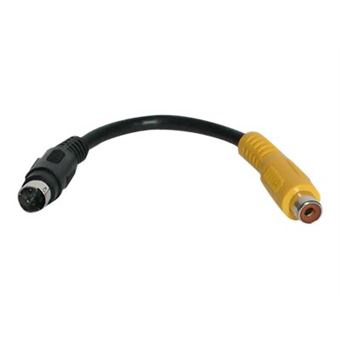 StarTech.com 6in S-Video to Composite Video Adapter Cable - Adaptateur ...
